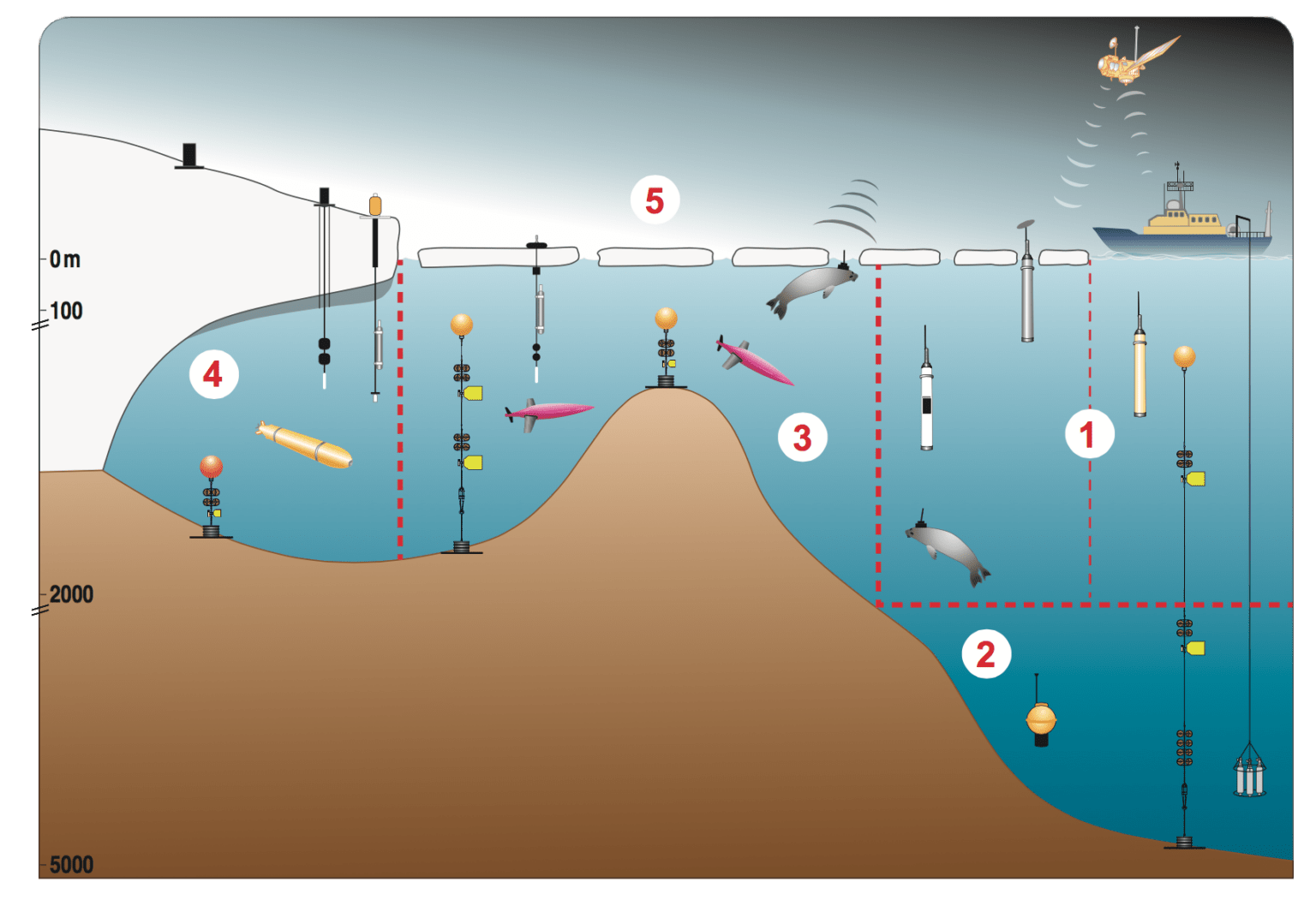 Observing and Understanding the Ocean below Antarctic Sea Ice and Ice ...