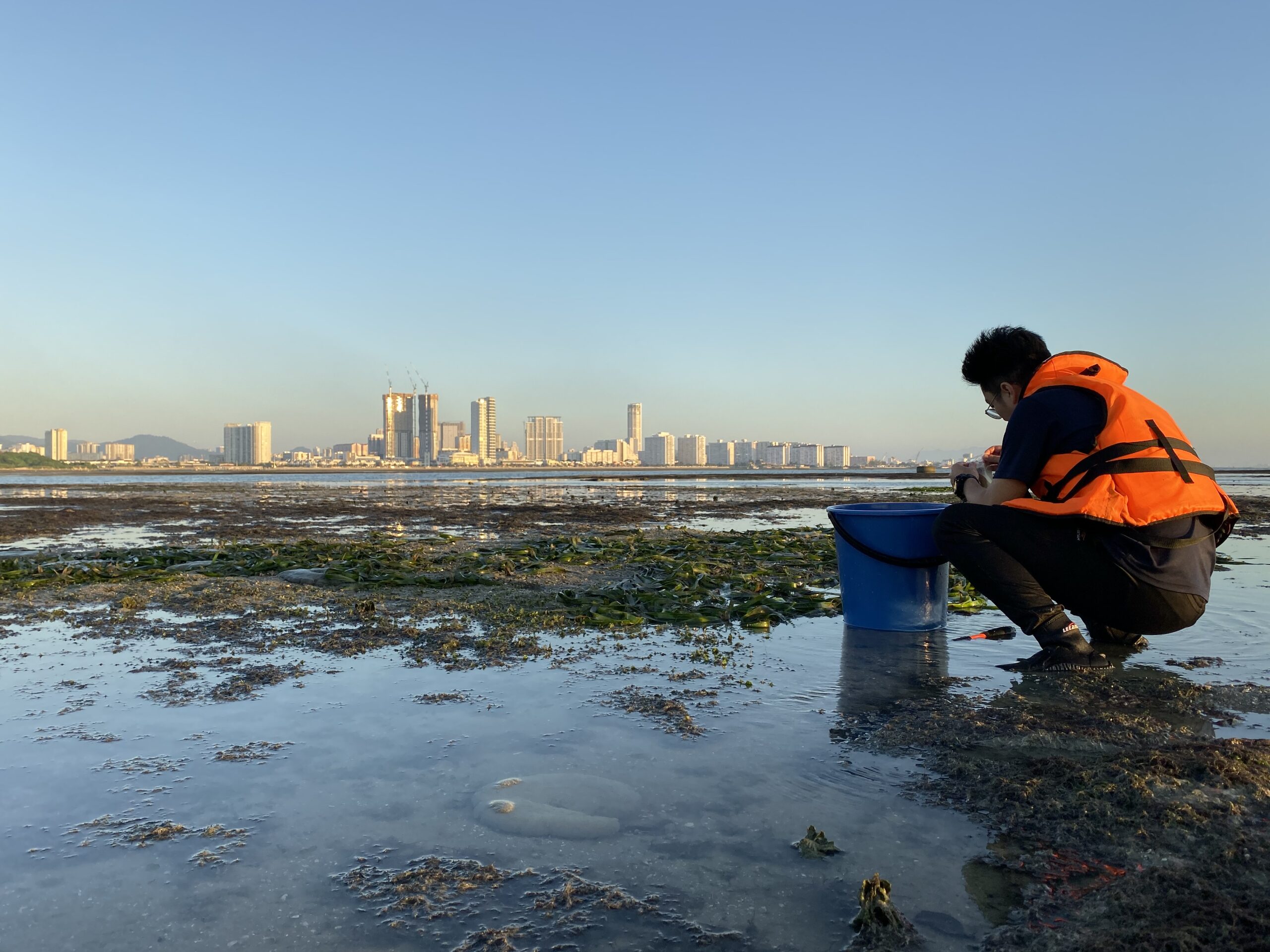 Sounding the alarm: An early warning system to tackle water pollution ...