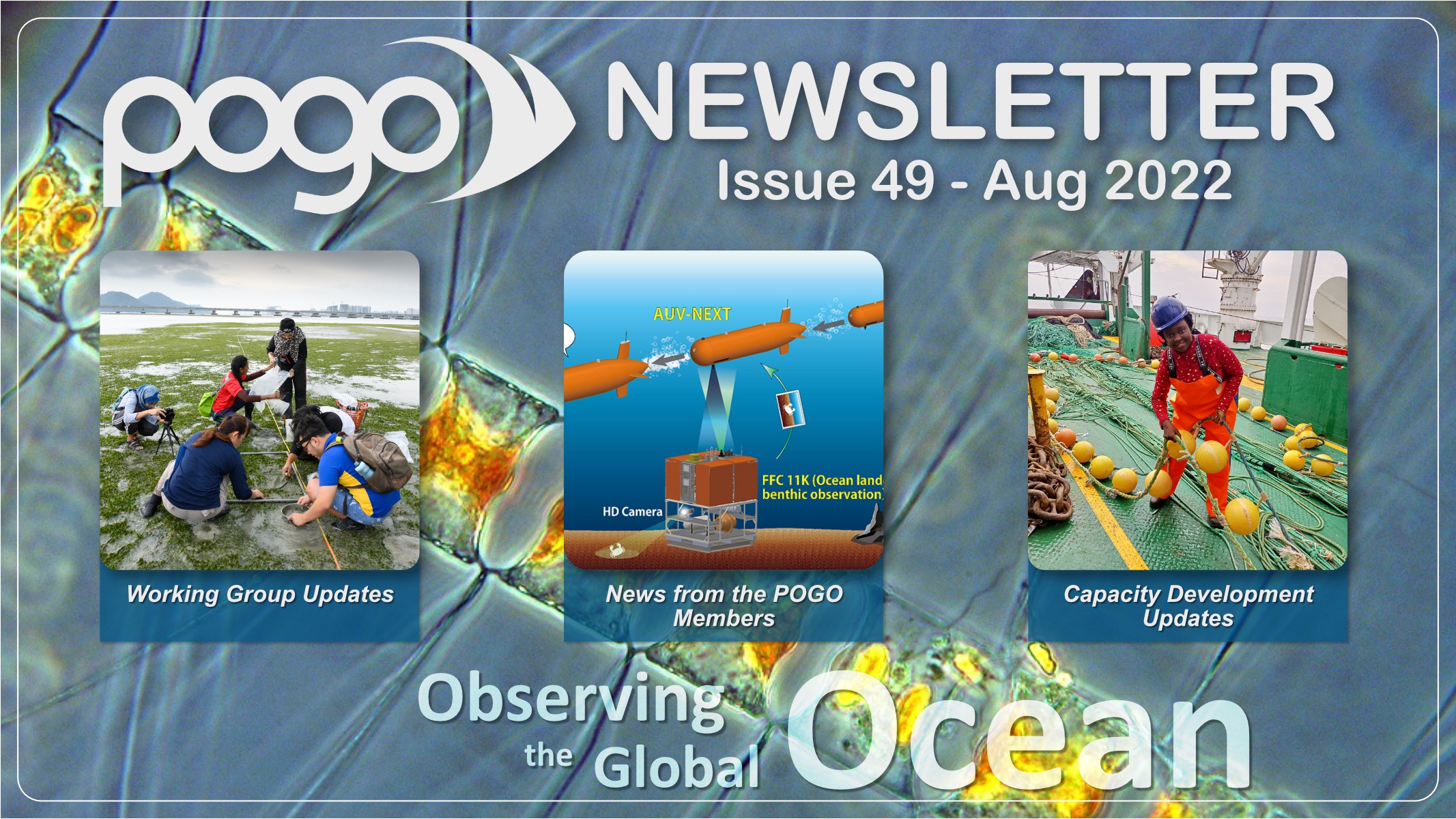 POGO Newsletter: Issue 49 - Aug 2022 | Partnership for Observation of ...