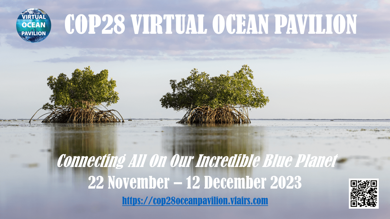 COP28 | Partnership for Observation of the Global Ocean